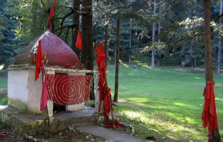 Koti Kanasar - Meadow, Kansar Eco Lodge & Everything You Need To Know ...