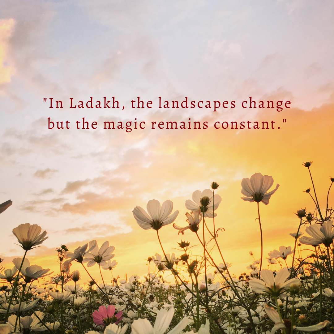 Ladakh Trip Quotes. - travelatweb.com