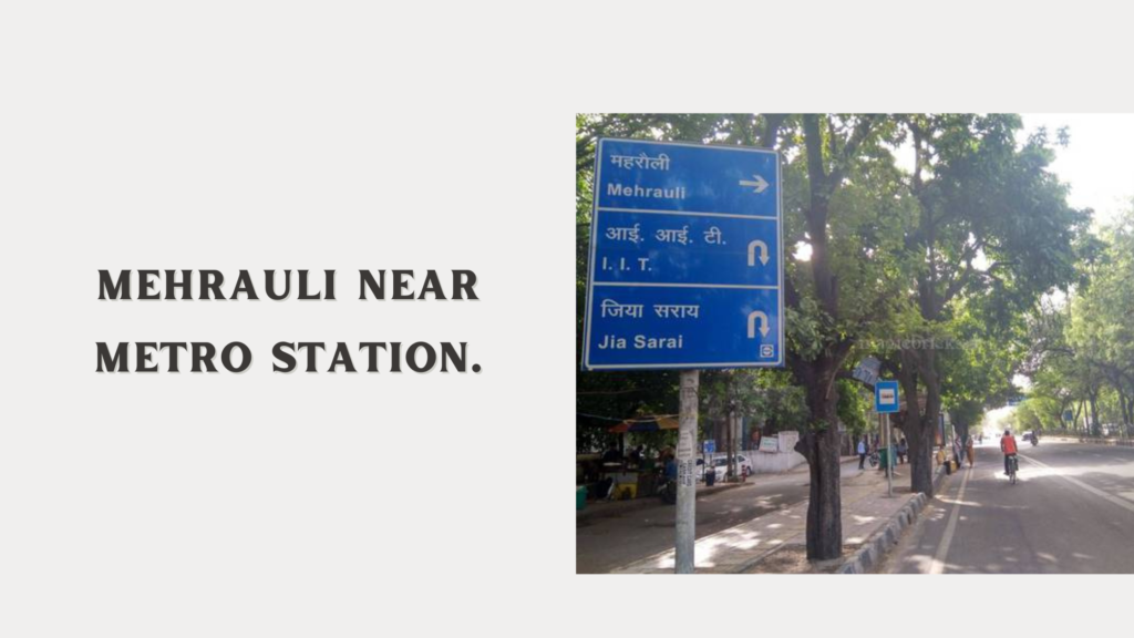 Mehrauli Near Metro Station. - travelatweb.com